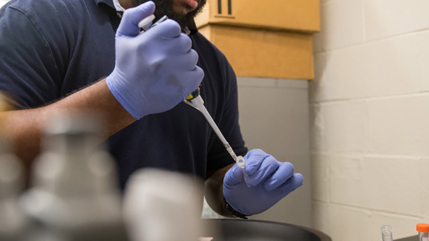 Research Experience at Brown | Biology Undergraduate Education | Brown ...